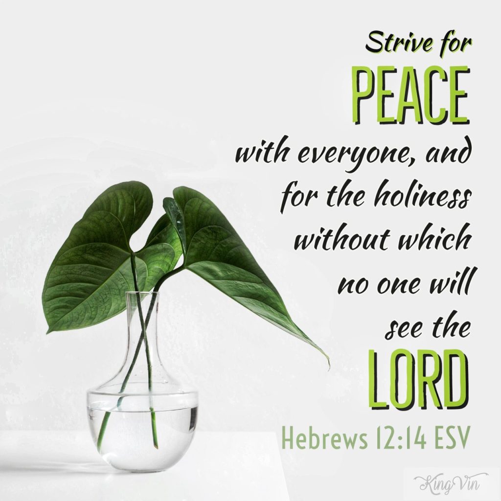 Strive for peace - I Live For JESUS