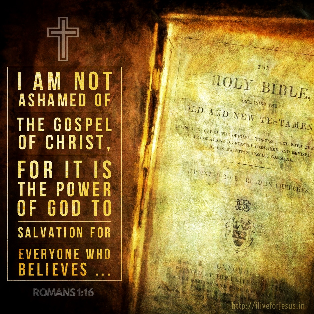 I am not ashamed - I Live For JESUS