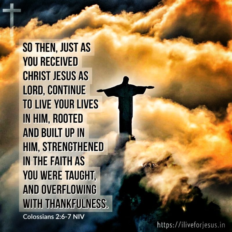 Rooted and Built Up in Him - I Live For JESUS