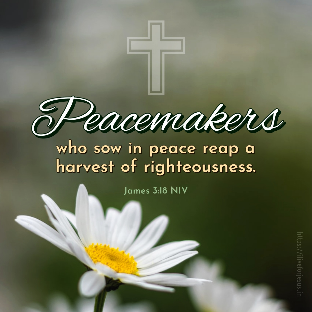 Peacemakers - I Live For JESUS