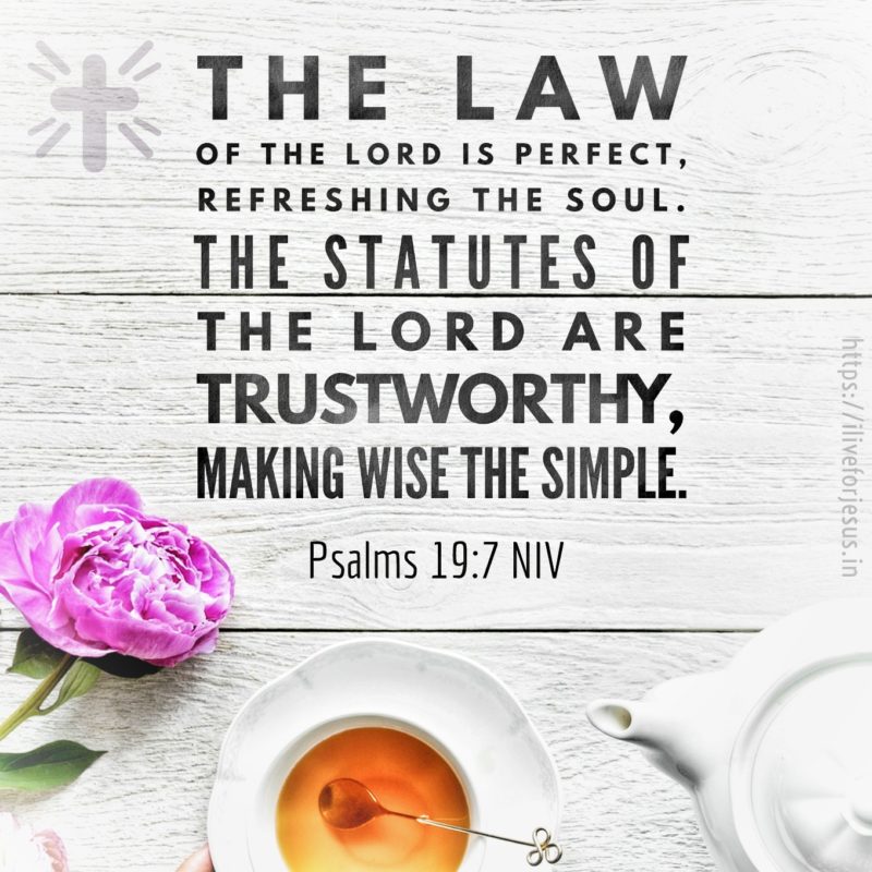 psalm 19:7 Archives - I Live For JESUS