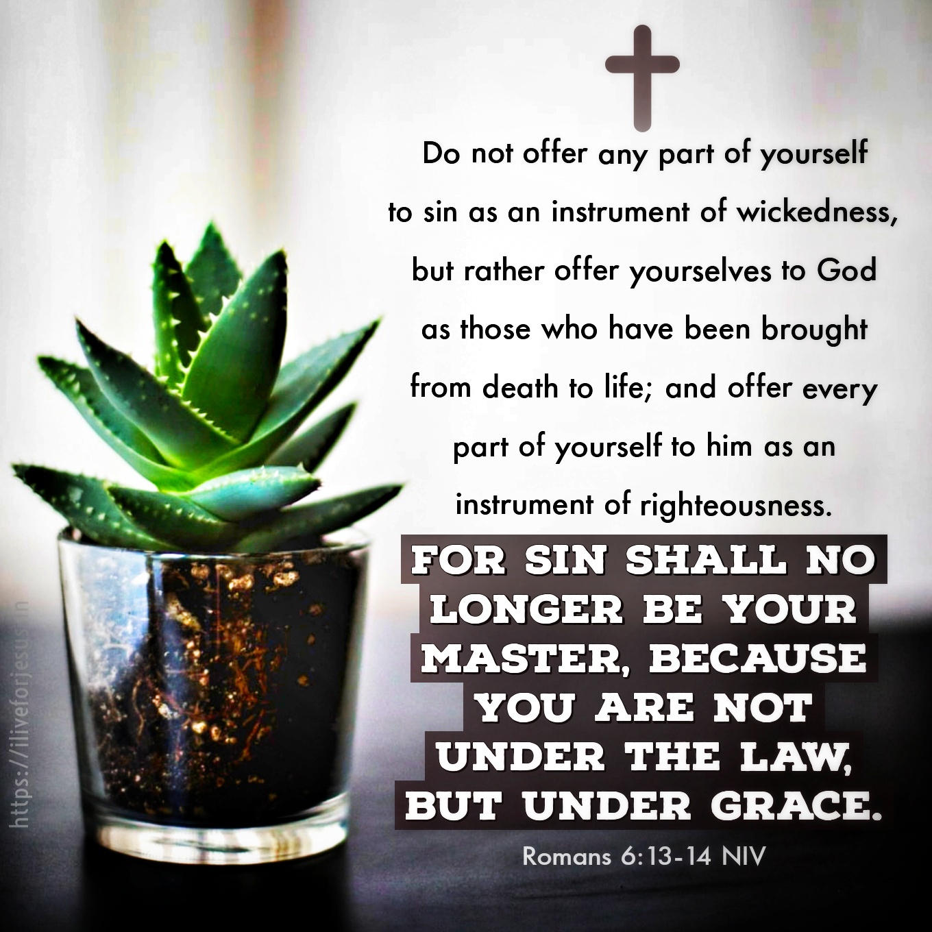 Under Grace - I Live For JESUS