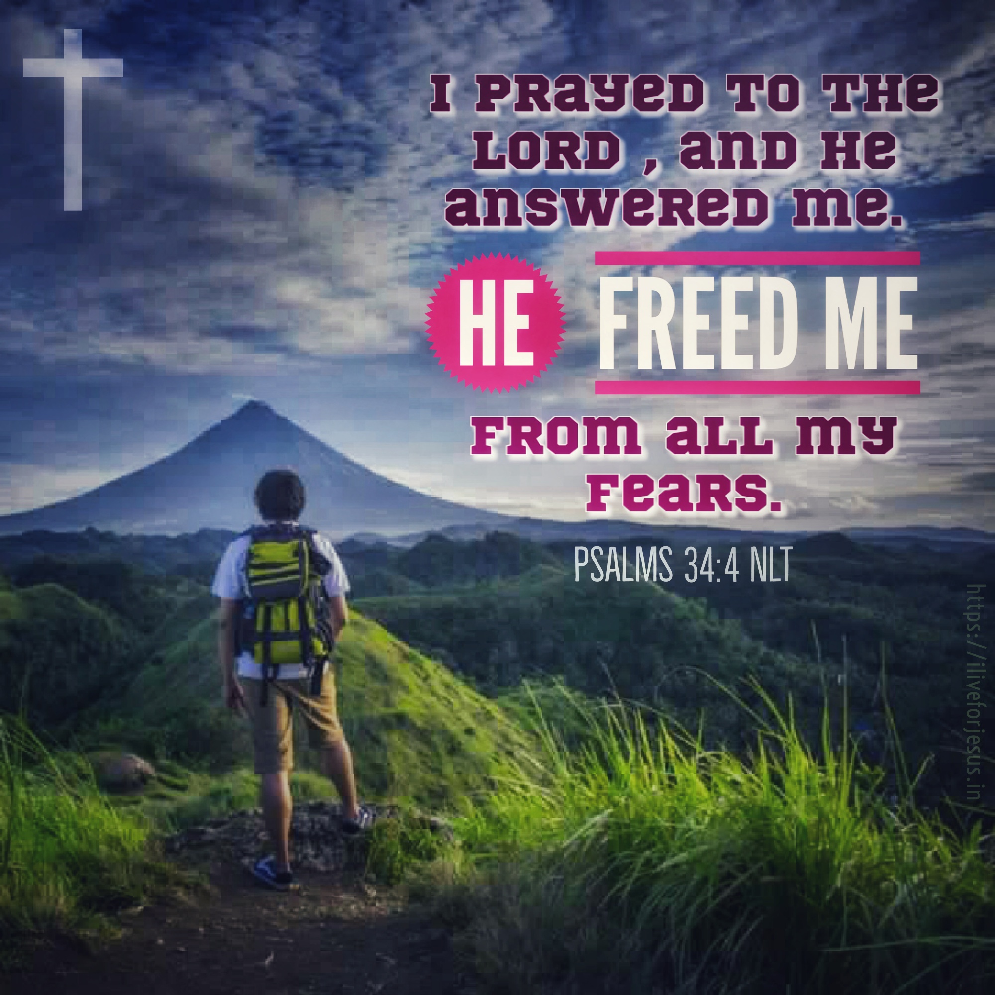 He Freed Me - I Live For JESUS