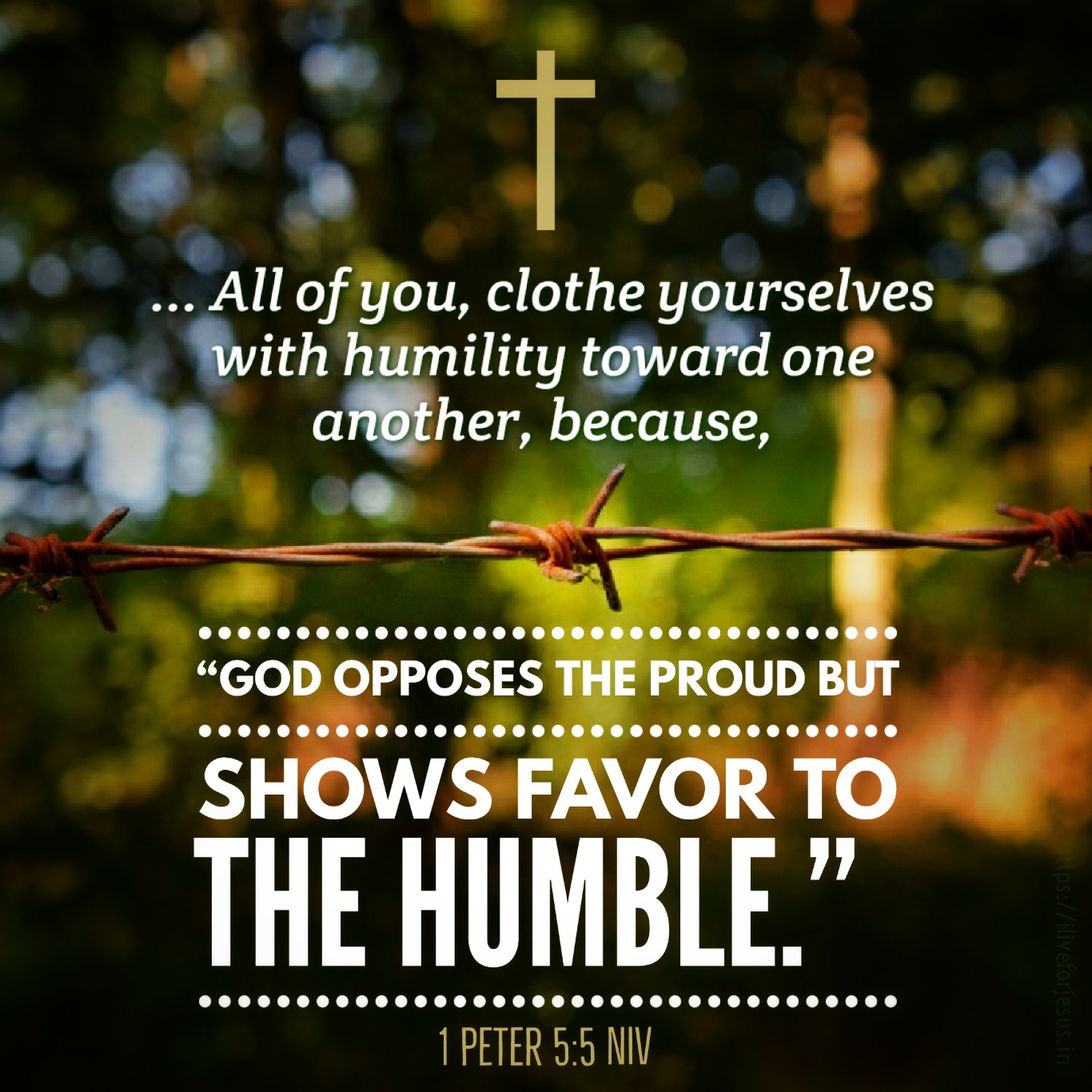 clothe yourselves Archives - I Live For JESUS