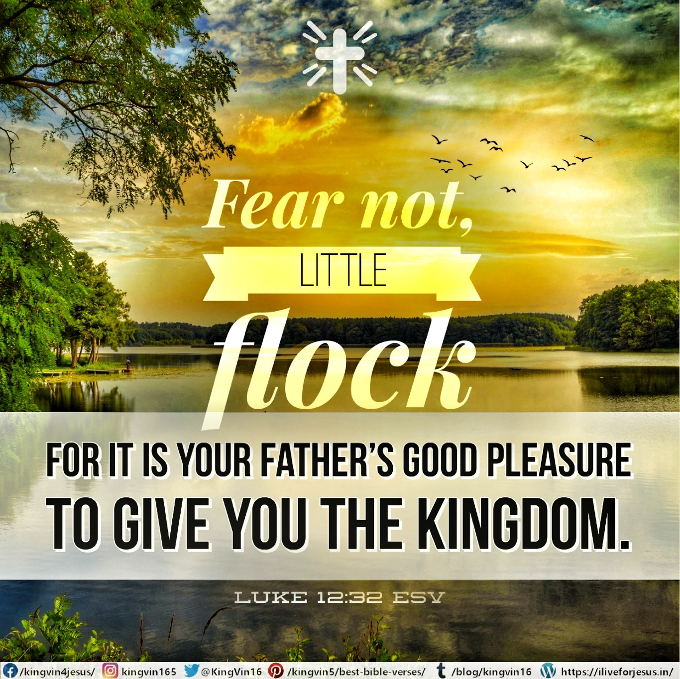 Fear Not Little Flock - I Live For JESUS