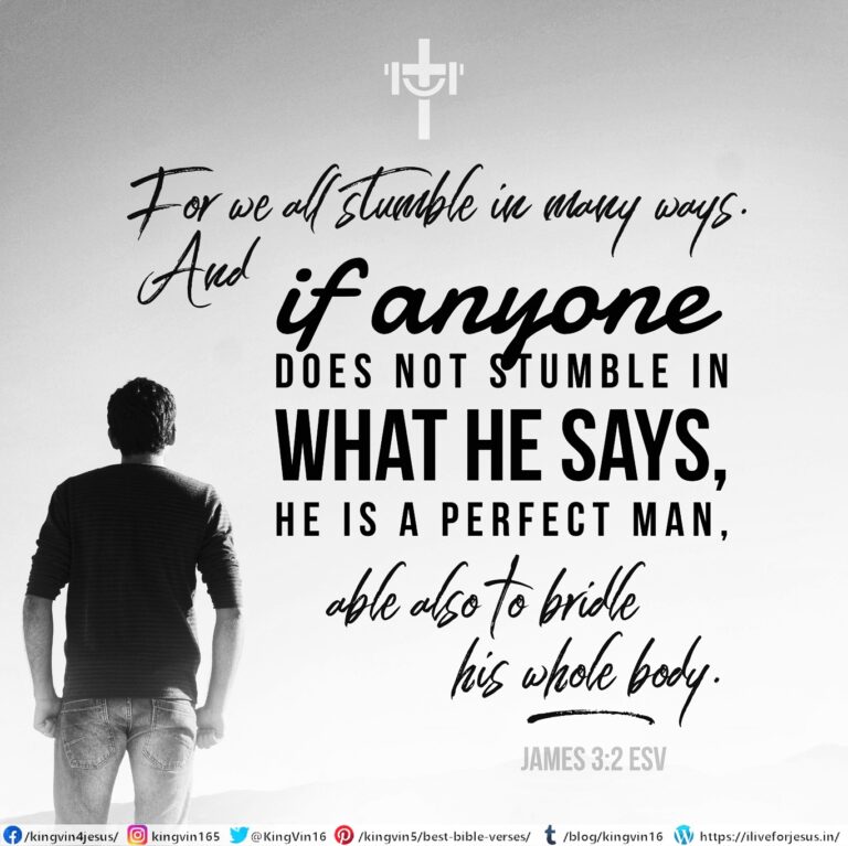 Perfect Man - I Live For JESUS